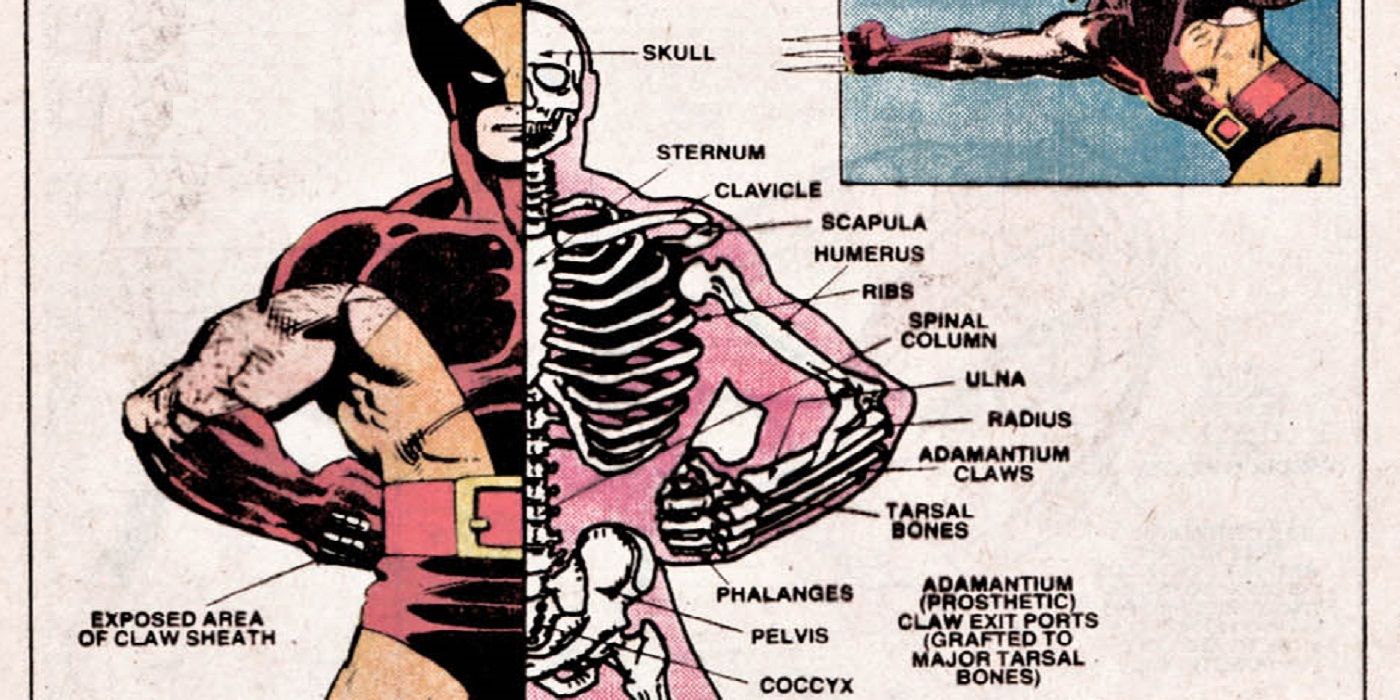 Wolverine: What the Heck is Adamantium BETA? | CBR