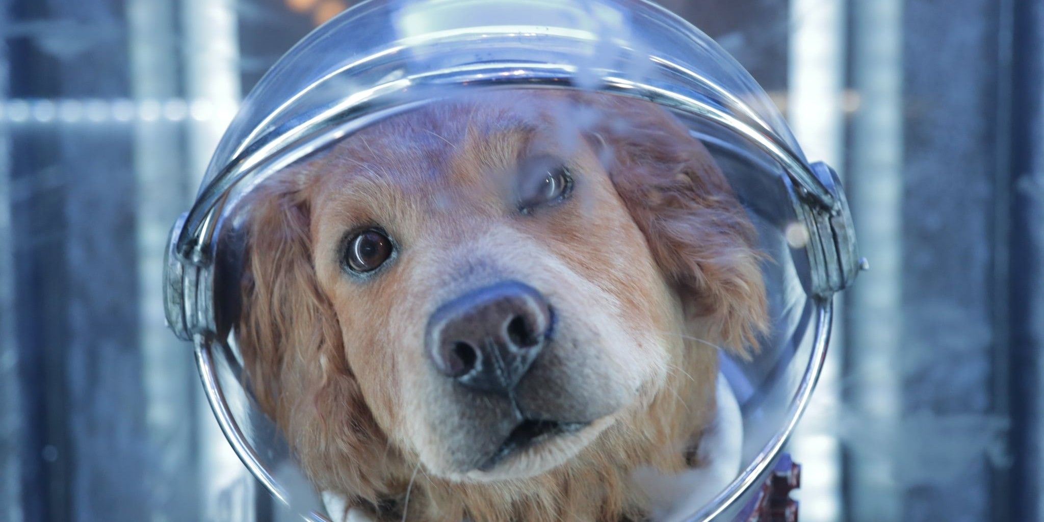 How Marvel's Guardians of the Galaxy Introduced Cosmo the Spacedog