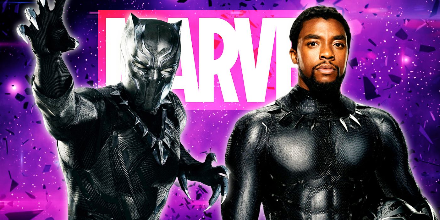 MCU Petition to Recast Black Panther's T'Challa Nears 50K | CBR