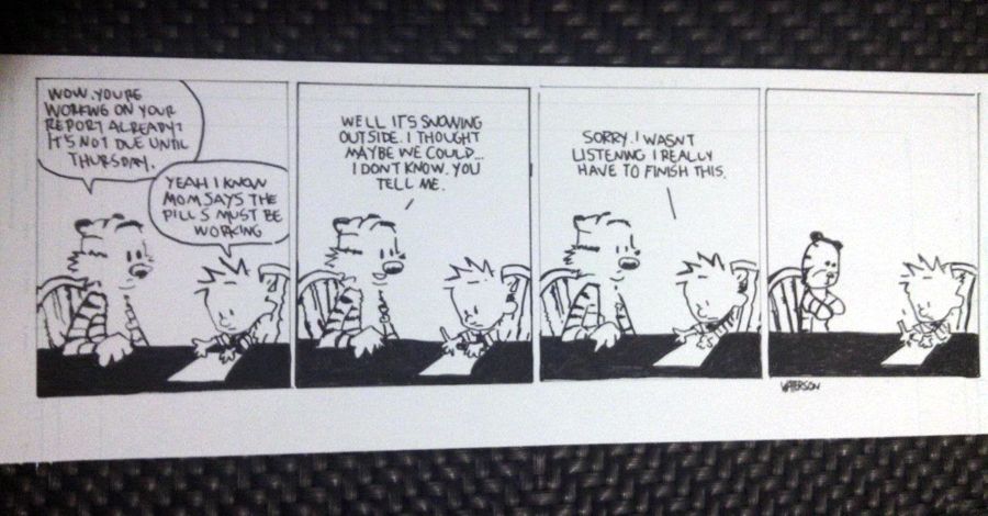 Fake 'Calvin and Hobbes' strip sells for $14,100 | CBR