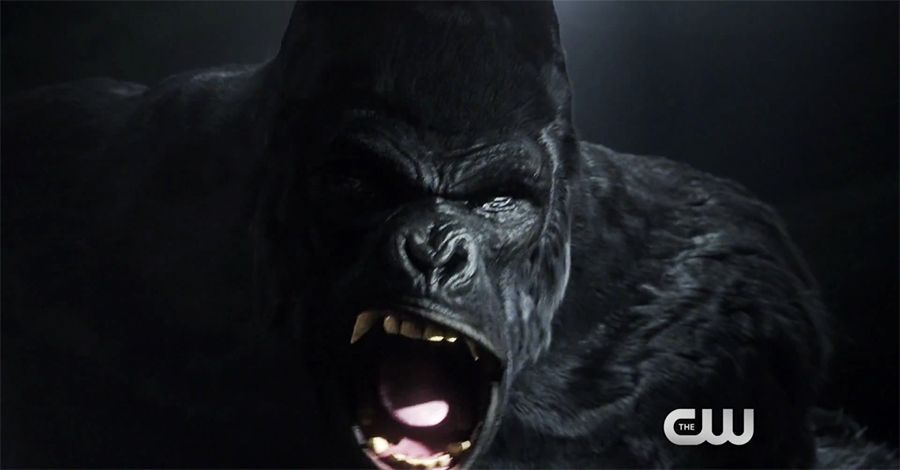 New "Flash" Trailer Urges Viewers To "Believe In Grodd" | CBR