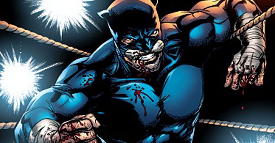 "Arrow" Season Three Finds Its Wildcat | CBR